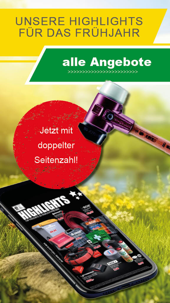 BSW SchraubenWerkzeughandels GmbH